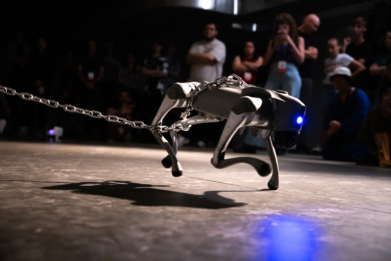 Dynamics of a Dog on a Leash / Takayuki Todo (JP) | photos.ars ...